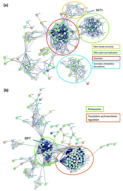 String Protein Protein Interaction Network Of Differentially Expressed Download Scientific