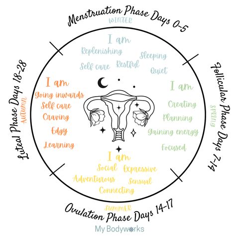 The Female Cycle Working With Your Cycle To Enhance Your Life