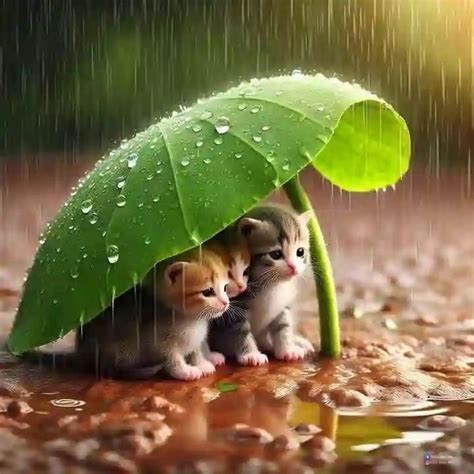 💗💗☺️আমার ভালো বাসার মানুষের আর আমার কাহিনি ️ ️ ️