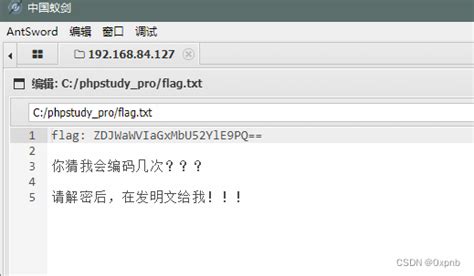 渗透实战：dedecms任意用户密码重置到内网getshell dedecms 渗透 csdn博客