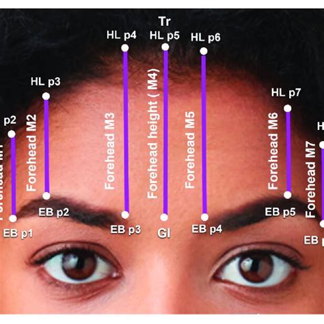 A The Ratio Of Facial Width To Bigonial Width R7 1 12 In Males Download Scientific