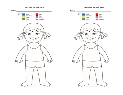 Color The Body Parts Pdf