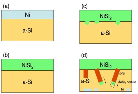 Schematic Representation Of Ni MIC Model A Initial Ni A Si Bilayer Download Scientific