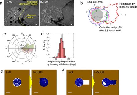 Effects Of Artificial Modification Of ECM Resistance Force On The Download Scientific Diagram