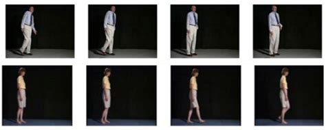 Figure 1 From Abnormal Behavior Detection In Gait Analysis Using Convolutional Neural Networks