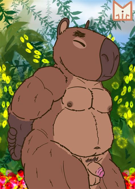 Rule 34 2021 Anthro Balls Belly Brown Body Capybara Caviid Closed