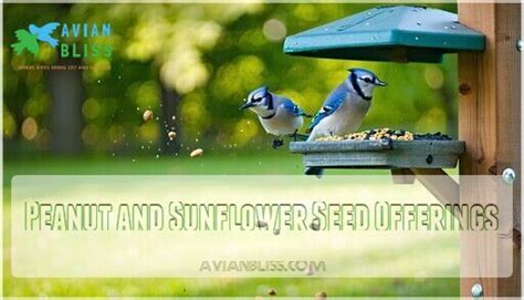 What Do Blue Jays Eat Complete Diet Guide Feeding Tips