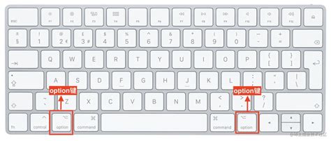 Electron 中的原生菜单在 Electron 桌面应用中，有四类原生菜单： 窗口菜单、上下文菜单、托盘菜单和 Do 掘金