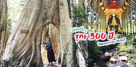 พิกัดเที่ยว ประตูสัจธรรม รุกข 300 ปี วัดเขาบรรจบ วัดสวย จันทบุรี