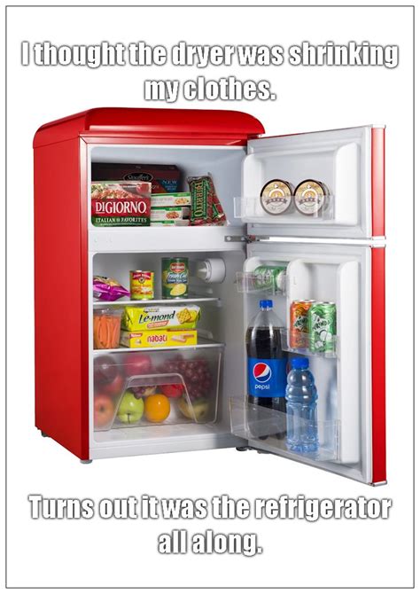 Solve Shrinking Clothes Jigsaw Puzzle Online With 12 Pieces