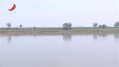尹弘调研督导中央生态环境保护督察通报典型案例整改工作凤凰网视频凤凰网