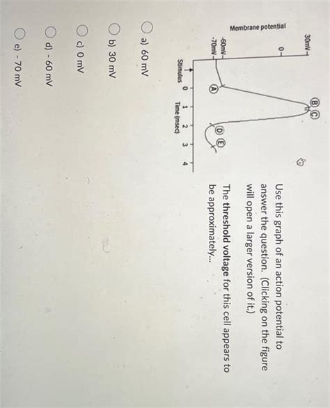 Solved The Slow Block To Polyspermy The Cortical Reaction