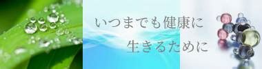 日緑株式会社 HHO水素酸素吸入器 HHO水素酸素吸入器 一朗堂 日緑医健グループ