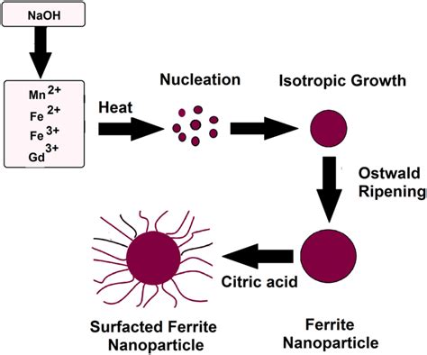 The Schematics Of Possible Reaction Mechanism Of The Synthesis Download Scientific Diagram