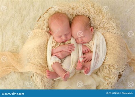 Identical Newborn Twins Stock Image Image Of Human Sisters 67919035