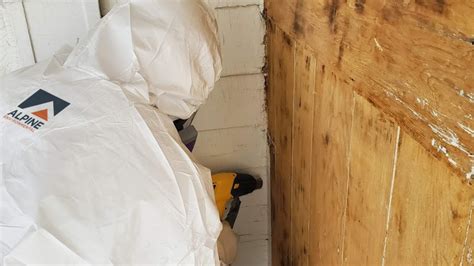 Lead Safe Certified Contractor Required By Epas Rrp Rule Alpine