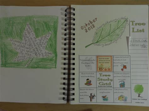 Outdoor Hour Tree Grid Another Oak And Acorn Study Homeschool