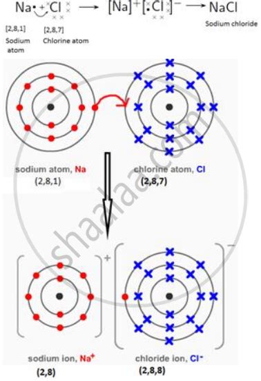 Draw Orbit Structure Diagram Of Sodium Chloride Nacl Chemistry Shaalaa Com