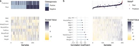 Multivariate Elastic Net Model For Categorical A And Continuous B Download Scientific