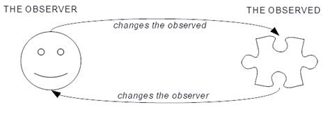 The Recursive Nature Of Observation Download Scientific Diagram