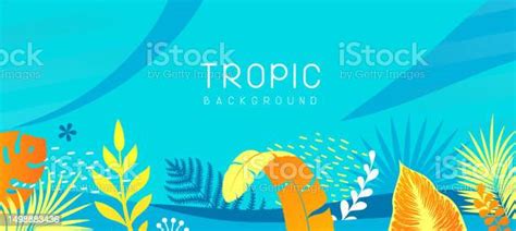열대 나뭇잎이 있는 화려한 여름 배너입니다 여름 배경입니다 벡터 그림 0명에 대한 스톡 벡터 아트 및 기타 이미지 0명 계절 꽃무늬 Istock