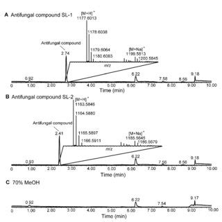 LC MS Analysis Of The Two Antifungal Compounds Produced By Strain Download Scientific Diagram