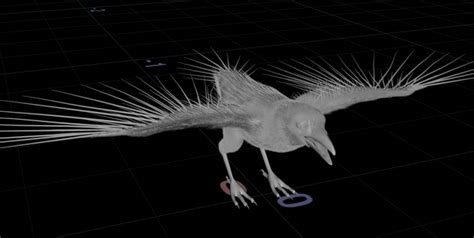 Creating And Animating A Bird In Houdini Solaris Feather Export Hda