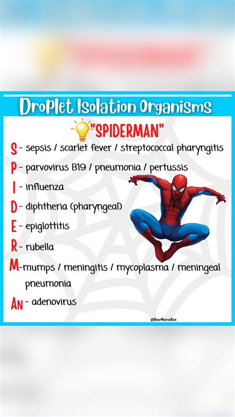 Easy Mnemonics To Help You Remember The Three Major Isolation