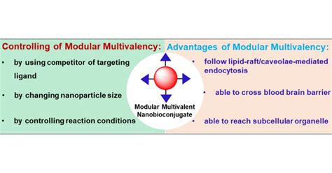 Synthesis And Applications Of Colloidal Nanobioconjugates With Modular Multivalency A Review
