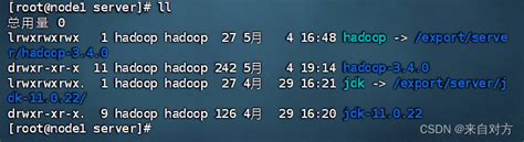基于hadoop搭建hdfs文件管理系统（大数据）hadoop配置hdfs用户管理hdfs Csdn博客