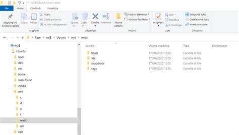implement web server to view backups · issue 60 · restic restic · github
