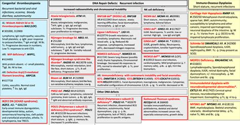 The 2024 Update Of Iuis Phenotypic Classification Of Human Inborn Errors Of Immunity Journal