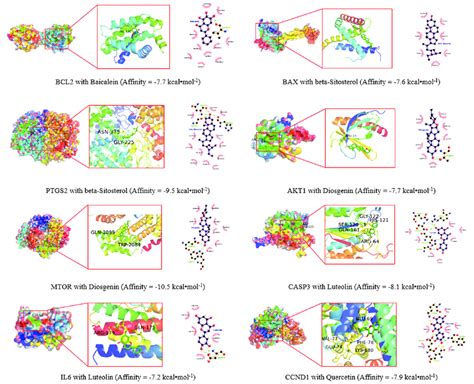 Molecular Docking Results Download Scientific Diagram