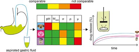 Characterizing Interspecies Differences In Gastric Fluid Properties To Improve Understanding Of