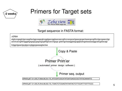Ppt High Throughput Cloning And Expression Of Nesg Targets Powerpoint Presentation Id 4599467