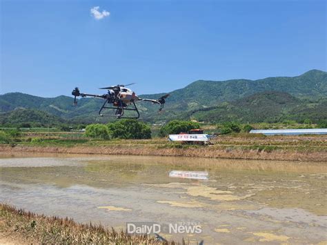 포항시 드론 활용해 벼 직파 재배