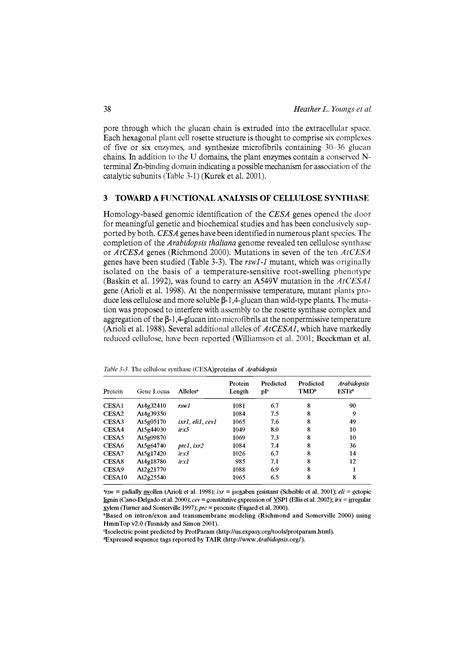 Cesa Proteins Big Chemical Encyclopedia
