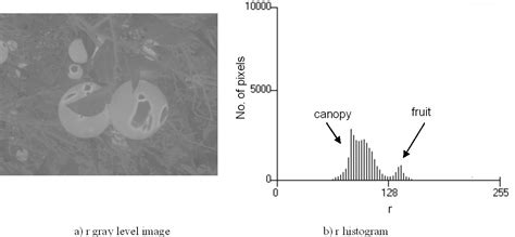 Figure 1 From A Machine Vision Algorithm Combining Adaptive Segmentation And Shape Analysis For