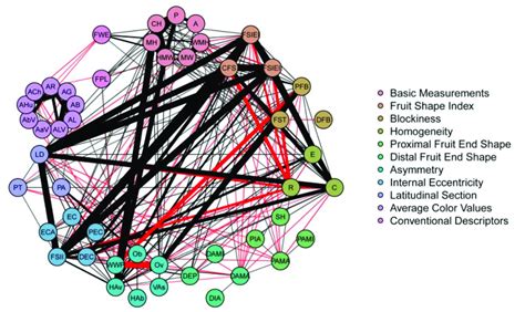 Correlation Network Depicting Relationships Among Fruit Descriptors