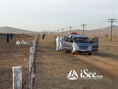 Багануур дүүрэгт бог малын мялзан өвчин гарсны улмаас хорио цээрийн дэглэм тогтоохоор ажиллаж