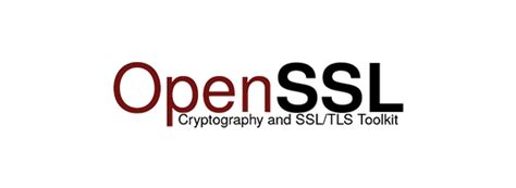 OpenSSL Accelerating Forwards APNIC Blog