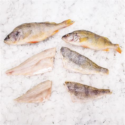 Perch fish frozen,Russia Bakreu price supplier - 21food