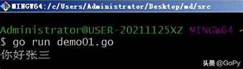 Go语言编程从入门到精通，数据类型精通go语言 Csdn博客