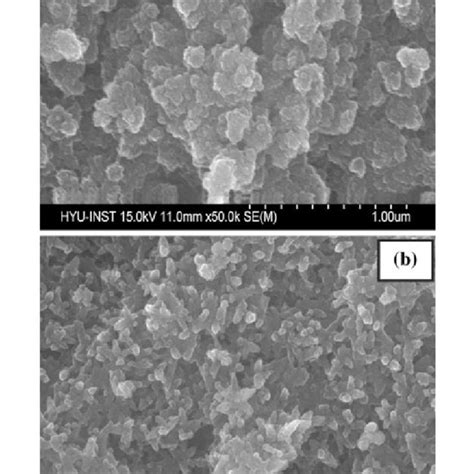 Scanning Electron Micrographs Of A As Deposited And B Annealed Tio 2 Download Scientific