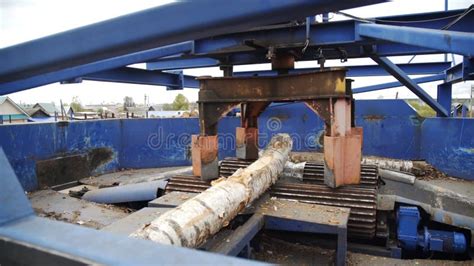 Automated Log Sorting Line Wheel Loader And Automatic Sorting Logs