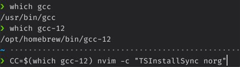MacOS TSInstallSync Norg Issue 48 Nvim Neorg Tree Sitter Norg