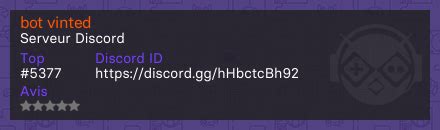 Bot Vinted Serveur Discord