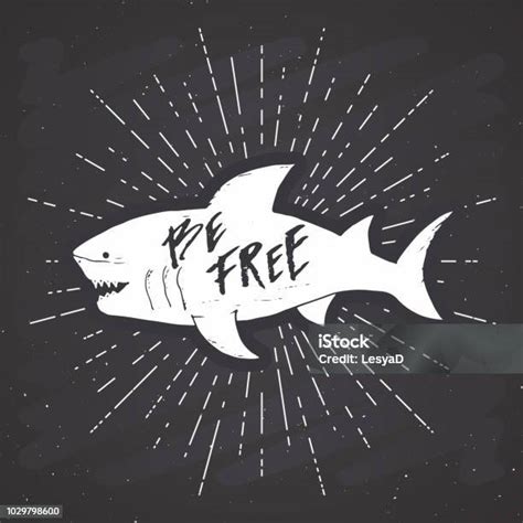 상어 실루엣 빈티지 라벨 손으로 그린된 스케치 그런 지 질감된 복고풍 배지 인쇄 술 디자인 T셔츠 인쇄 항해 벡터 그림 칠판 배경 T 셔츠에 대한 스톡 벡터 아트 및 기타