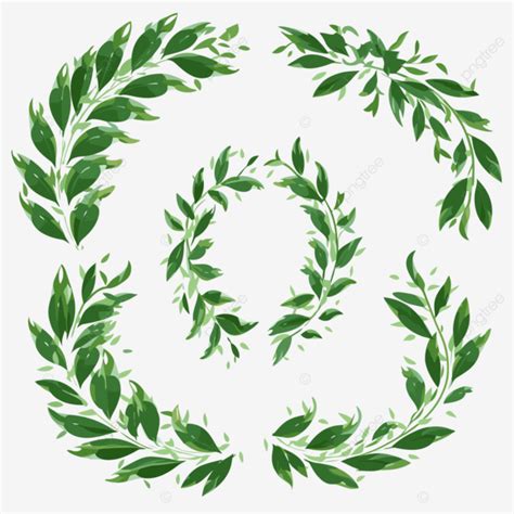 월계수 잎 벡터 세 개의 녹색 화환 수채화 삽화 나뭇잎이 있는 만화 상표 클립 아트 Png 일러스트 및 벡터 에 대한 무료 다운로드 Pngtree