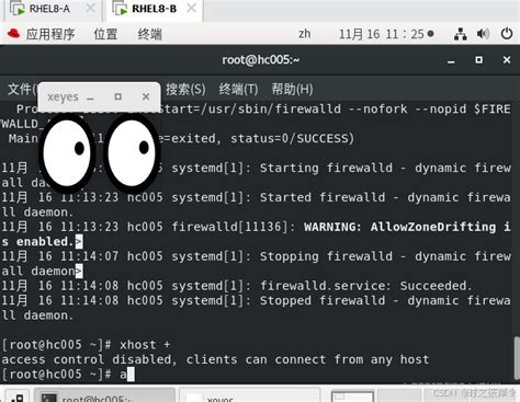 解决xeyes error can‘t open display，远程x无法连通问题。 error can t open display